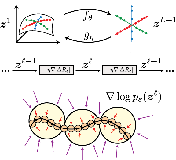 Learning Deep Representations of Data Distributions